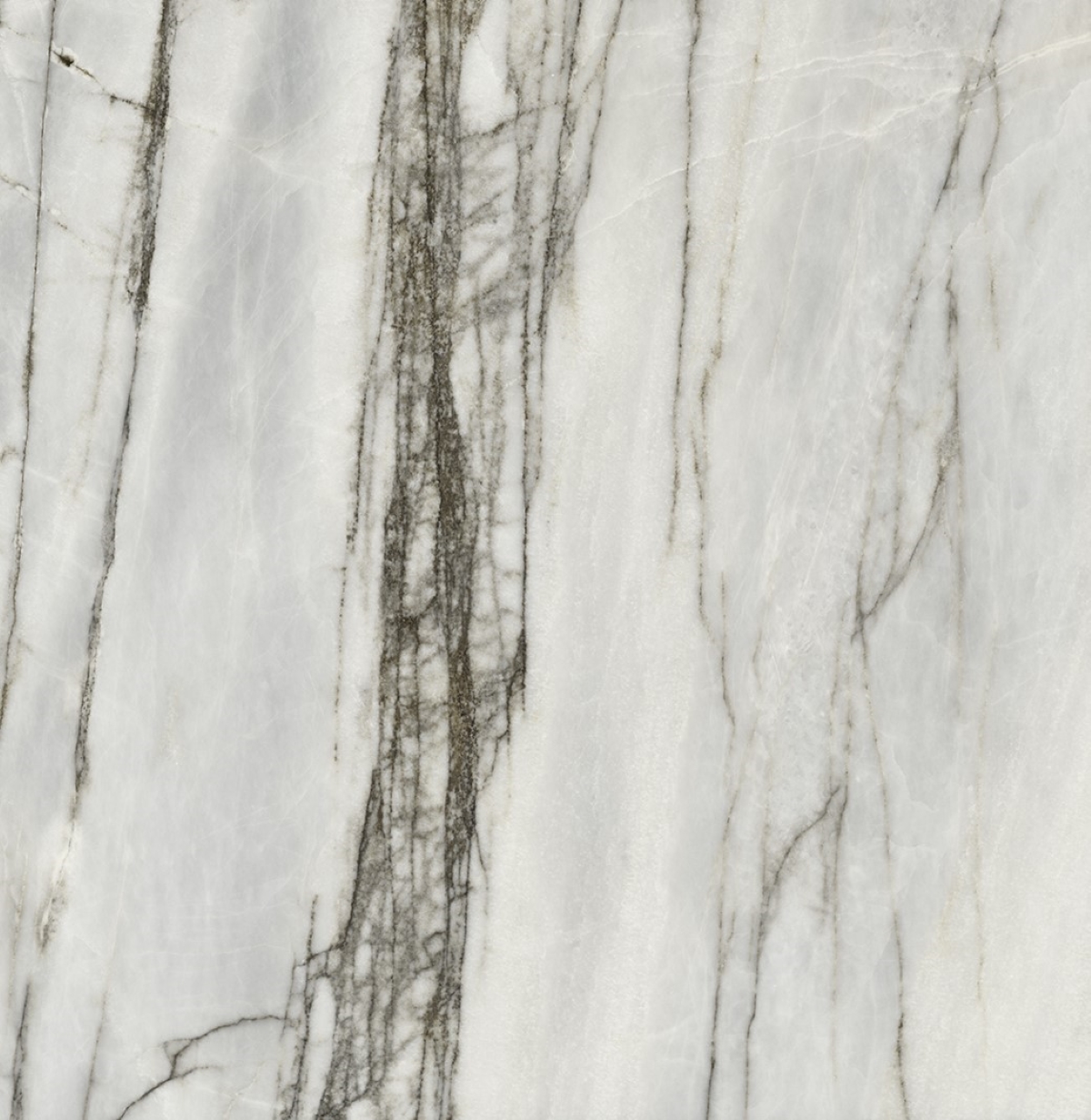 Dione Spider | NOBLE EARTH MOSCHOU